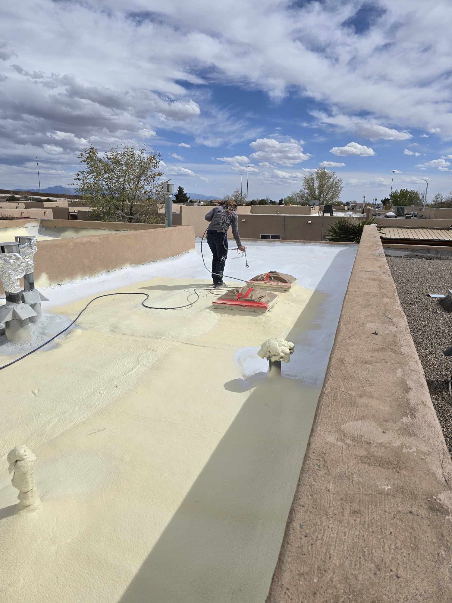 Comprehensive Guide to Polyurea Roof Coating