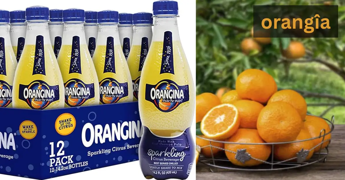 Orangîa: The Citrus Fruit Revolutionizing Health and Wellness - Evolve Feed